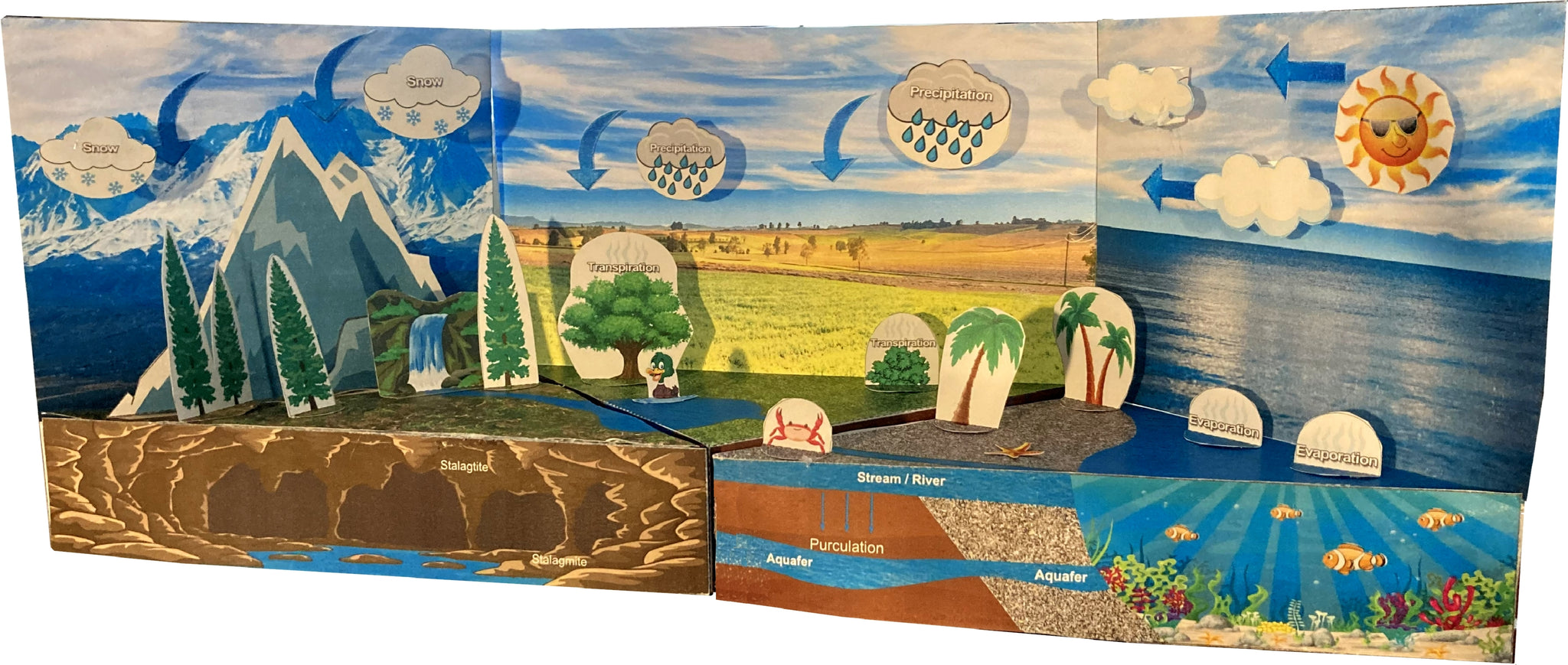Water Cycle - Evaporation, Precipitation, Rain, & Snow - Paper Model P ...