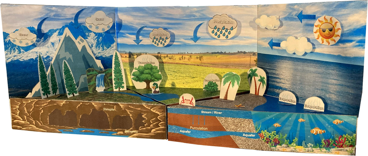 Water Cycle - Evaporation, Precipitation, Rain, & Snow - Paper Model P ...